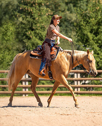 Thema keuze paardensportstijlen | kramer.nl