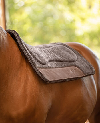 Alles voor western ruiters & western paarden bij | kramer.nl