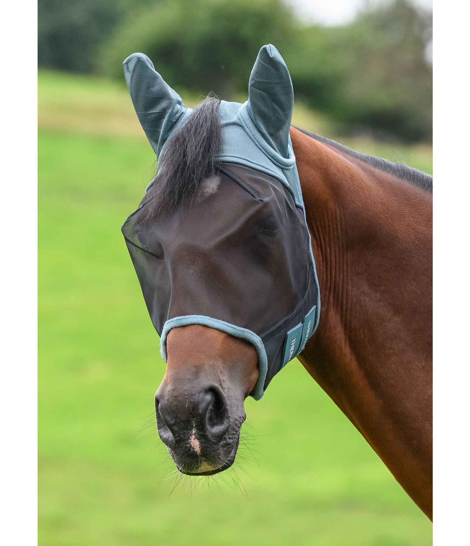 vliegenmasker Eco - Vliegenmaskers & -frontriemen - Kramer Paardensport