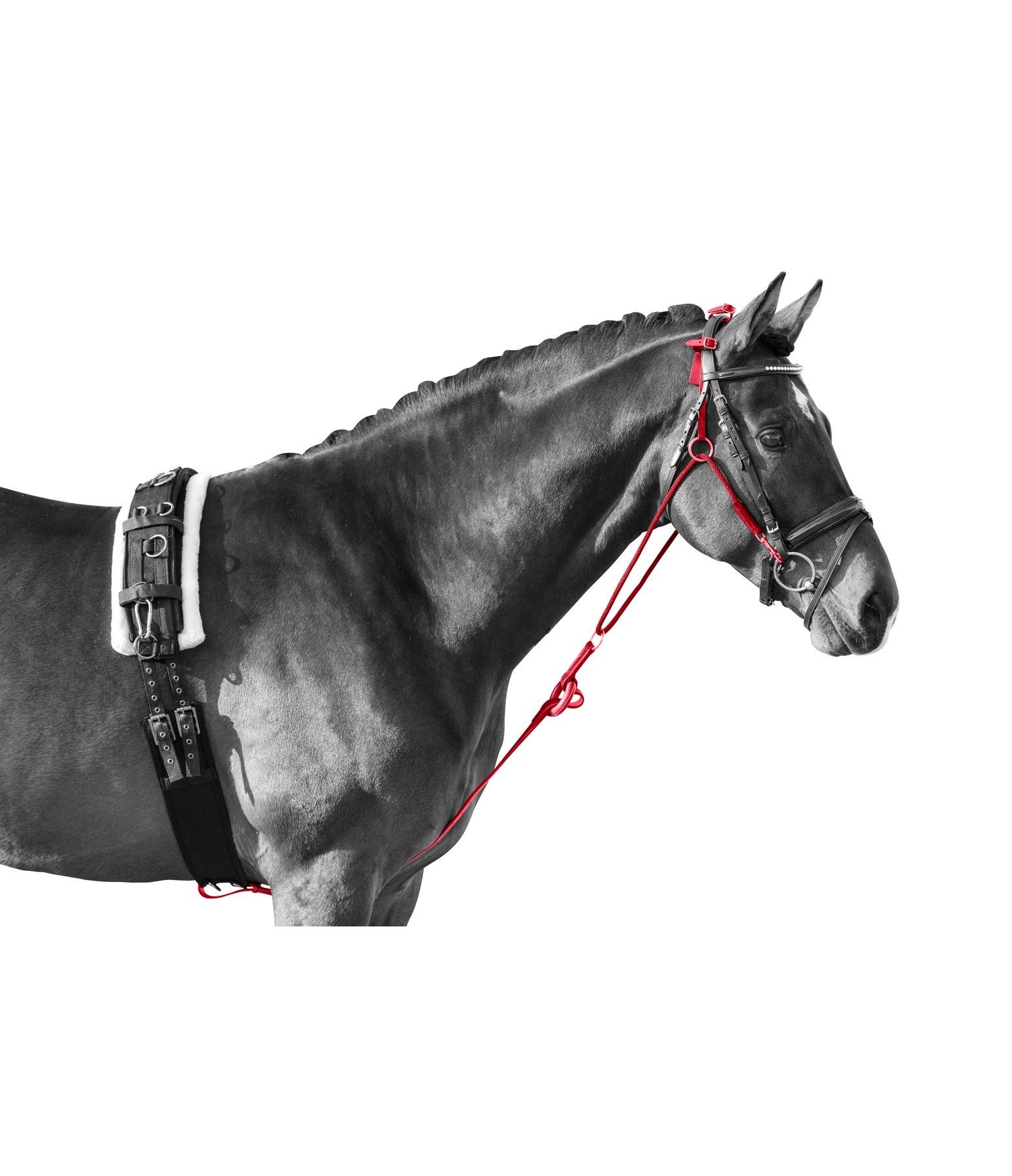 chambon - Hulpteugels - Kramer Paardensport